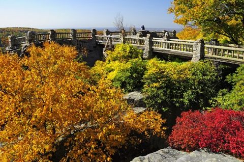 West Virginia State Forests: Fall’s Best Kept Secret