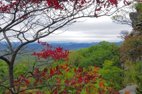 Visit New River/Greenbrier Valley Region for Unmatched Autumn Adventure ...