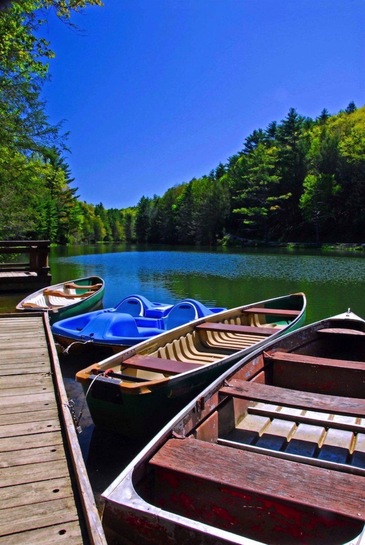 Seneca State Forest - West Virginia State Parks - West Virginia State Parks