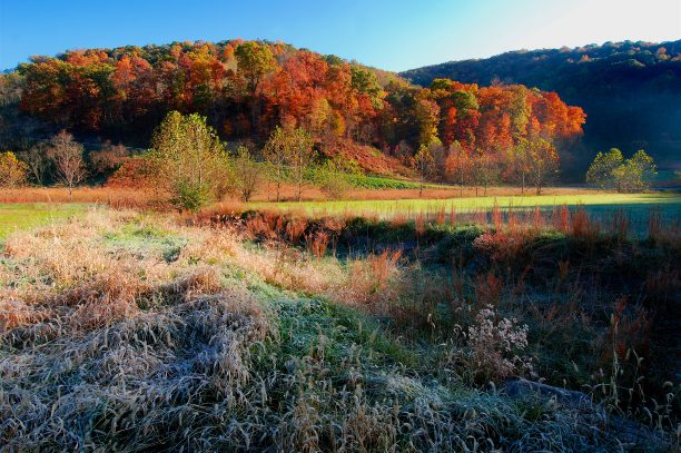 Campgrounds - West Virginia State Parks - West Virginia State Parks