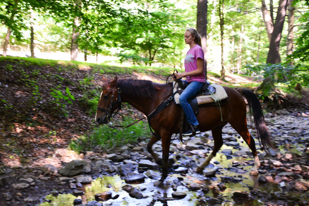 4 Horseback Riding Parks to Visit This Summer