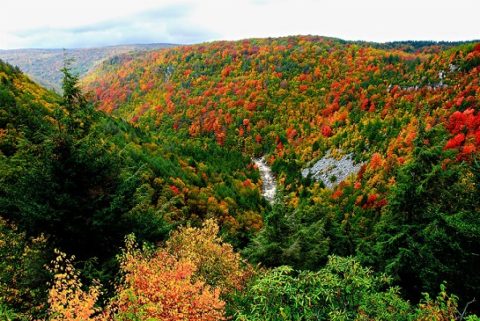 West Virginia State Parks’ Must See Fall Foliage Spots - West Virginia ...