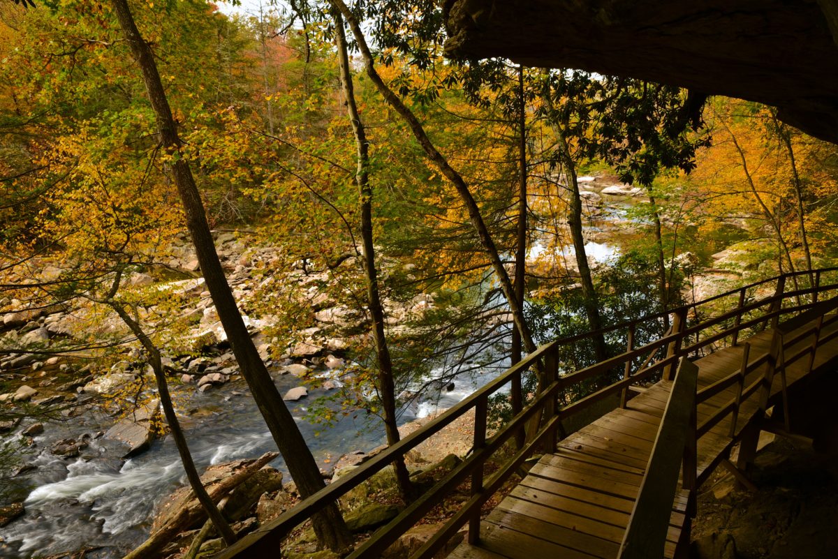 Why you should visit West Virginia state parks every chance you get ...