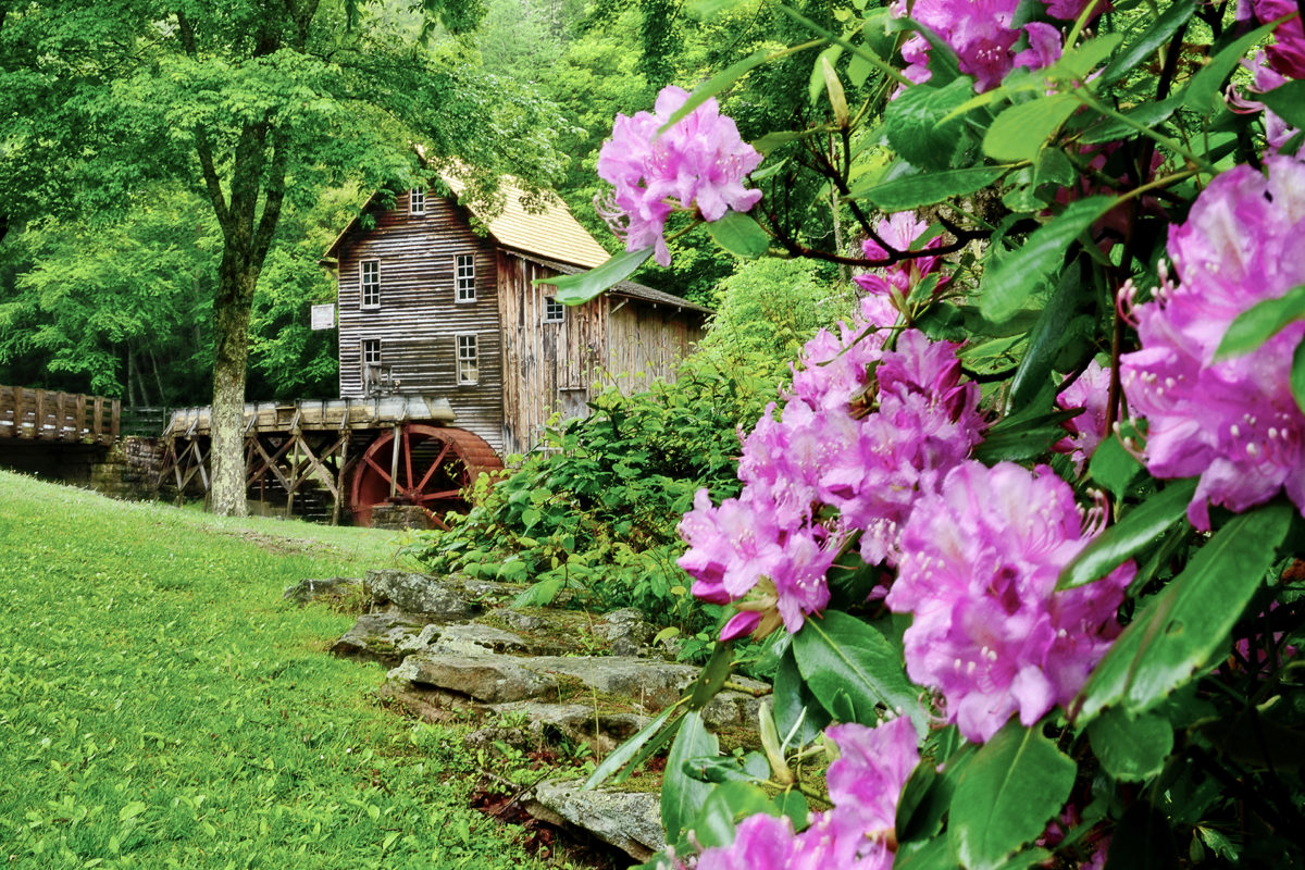 Thinking of Spring? Check out these West Virginia State Parks