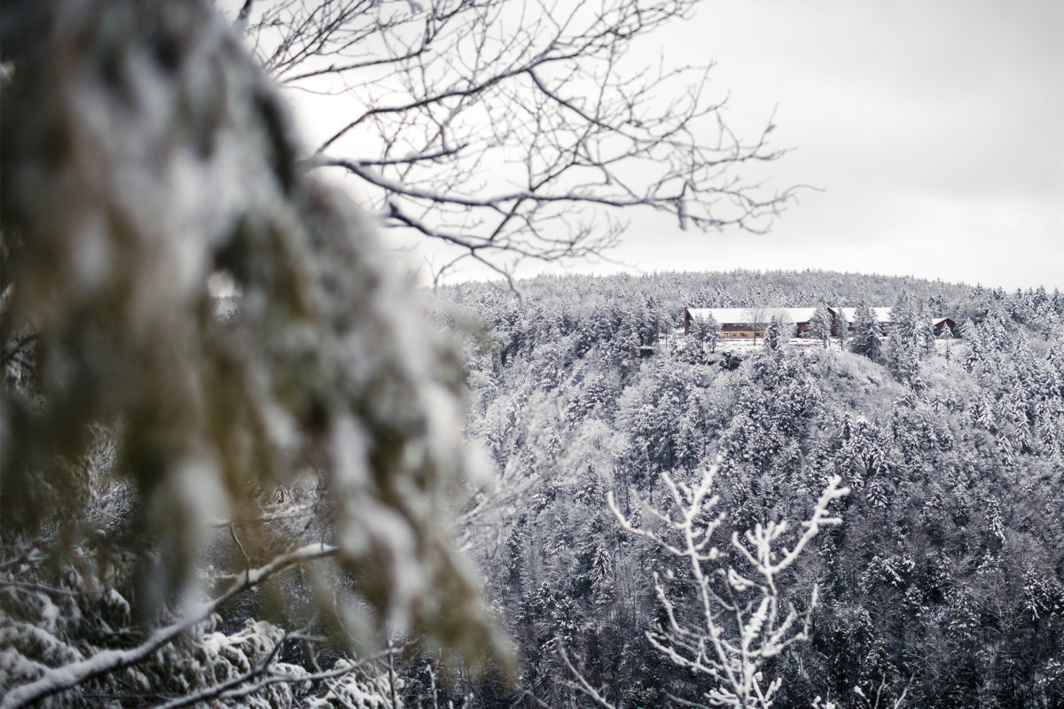 4 reasons you need a WV state park winter getaway...like, right now
