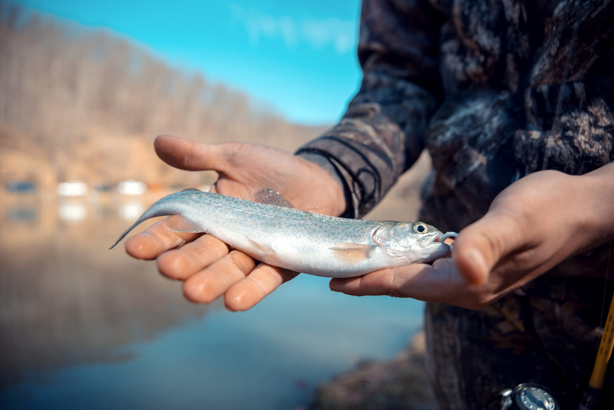 The perfect spring trip at a WV State Park according to TripAdvisor