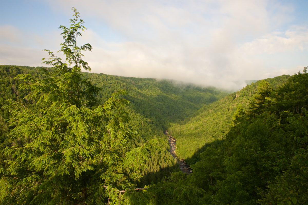 Family-friendly state park destinations in West Virginia - West ...