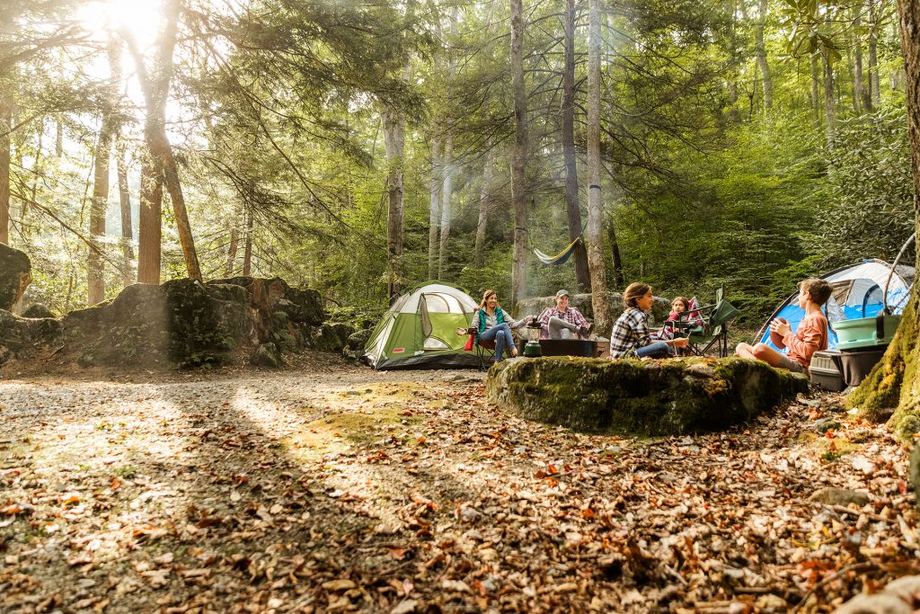 Online camping reservations make booking your favorite campsite easier ...