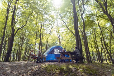 Online camping reservations make booking your favorite campsite easier ...