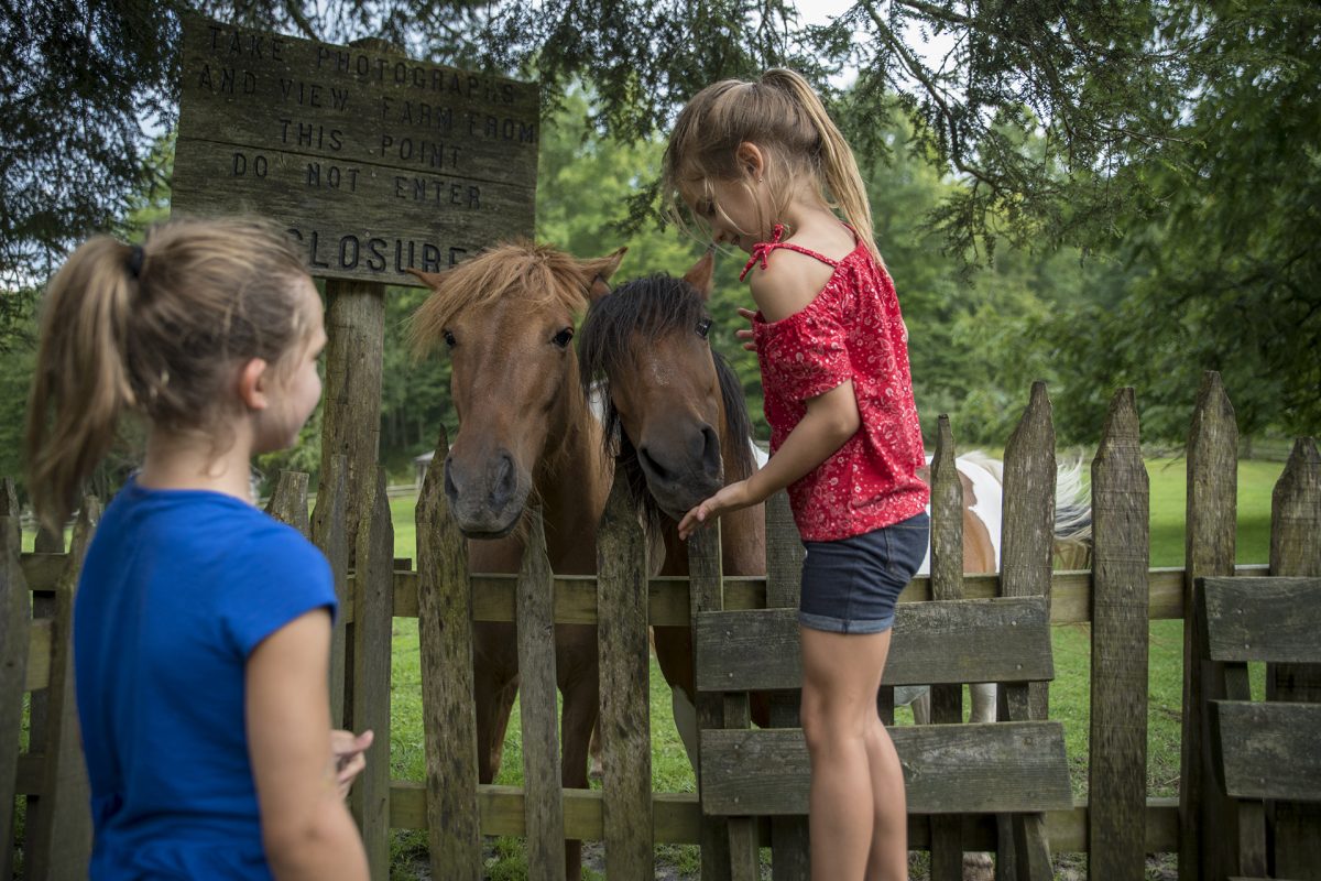 Get a glimpse of frontier life at the Twin Falls Pioneer Farm