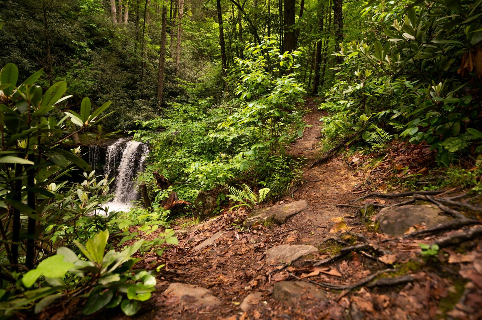 Add These WV State Park Campgrounds to Your Summer Bucket List - West ...