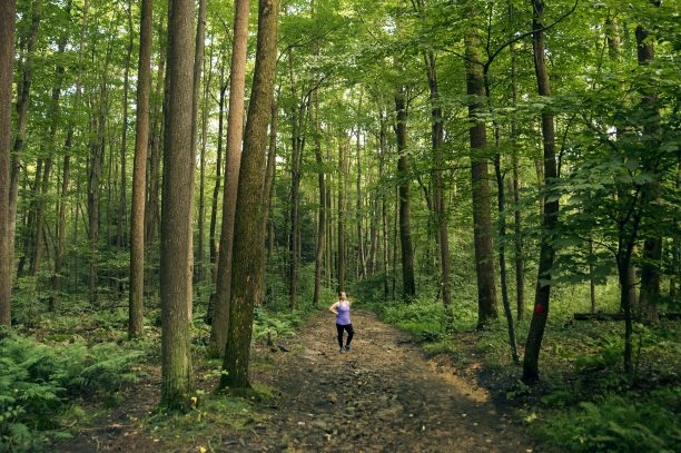 Guide to Outdoor Fun at Coopers Rock State Forest: Trails & More