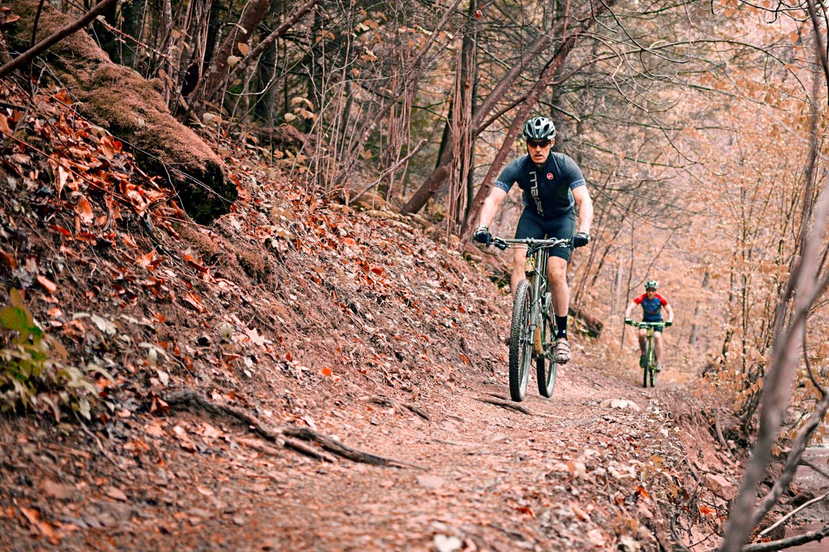 Mountain biking adventures at West Virginia state parks and forests ...