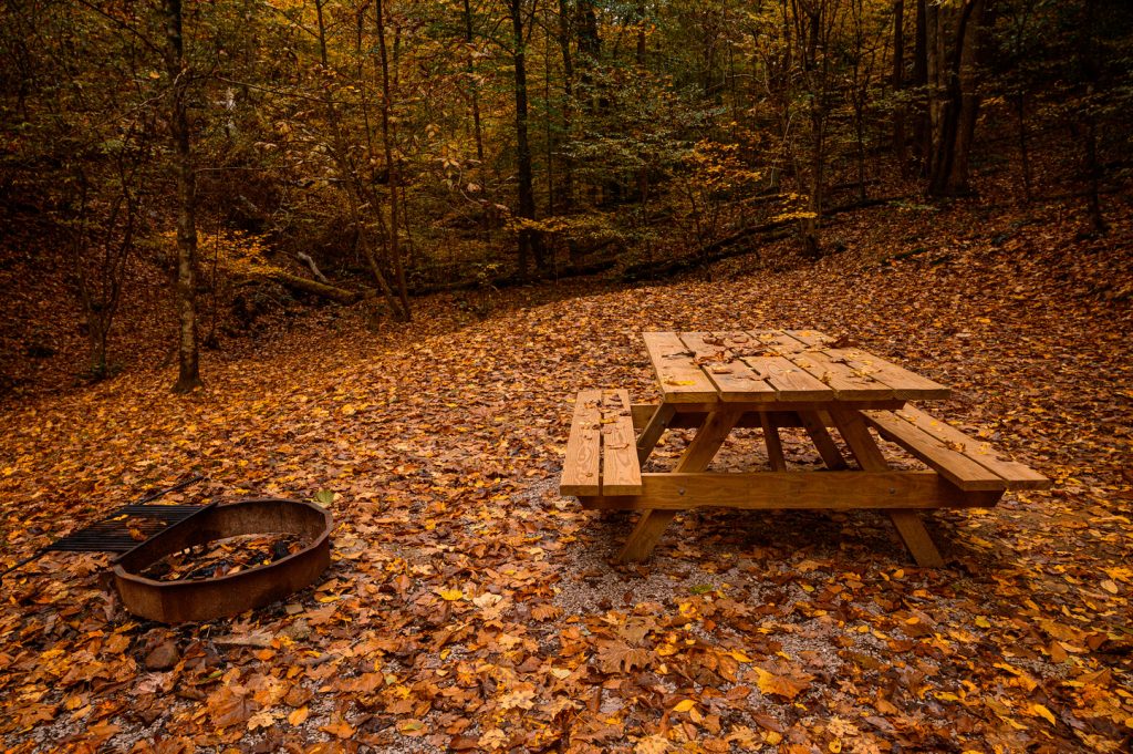 Kanawha State Forest a haven for hikers and mountain bikers - West ...
