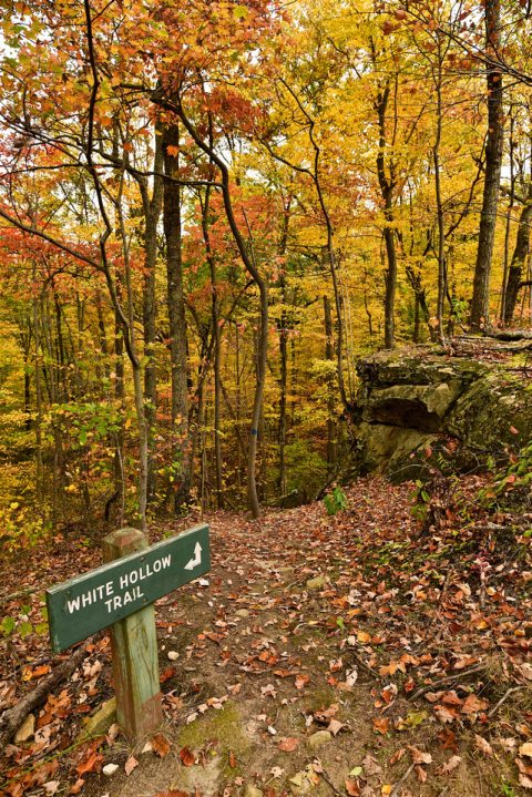 Kanawha State Forest a haven for hikers and mountain bikers - West ...
