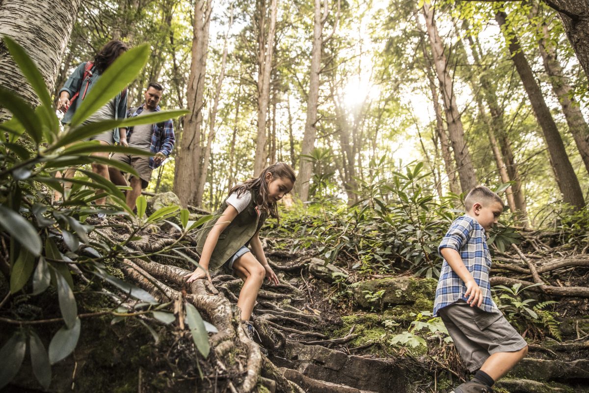 Park and Trail Etiquette: Dos and Don’ts of Visiting WV State Parks