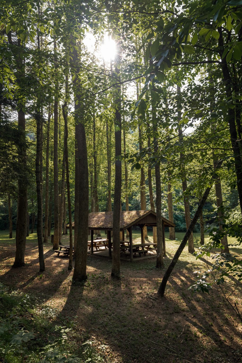 Last chance for a summer trip. Here are 5 parks to visit.