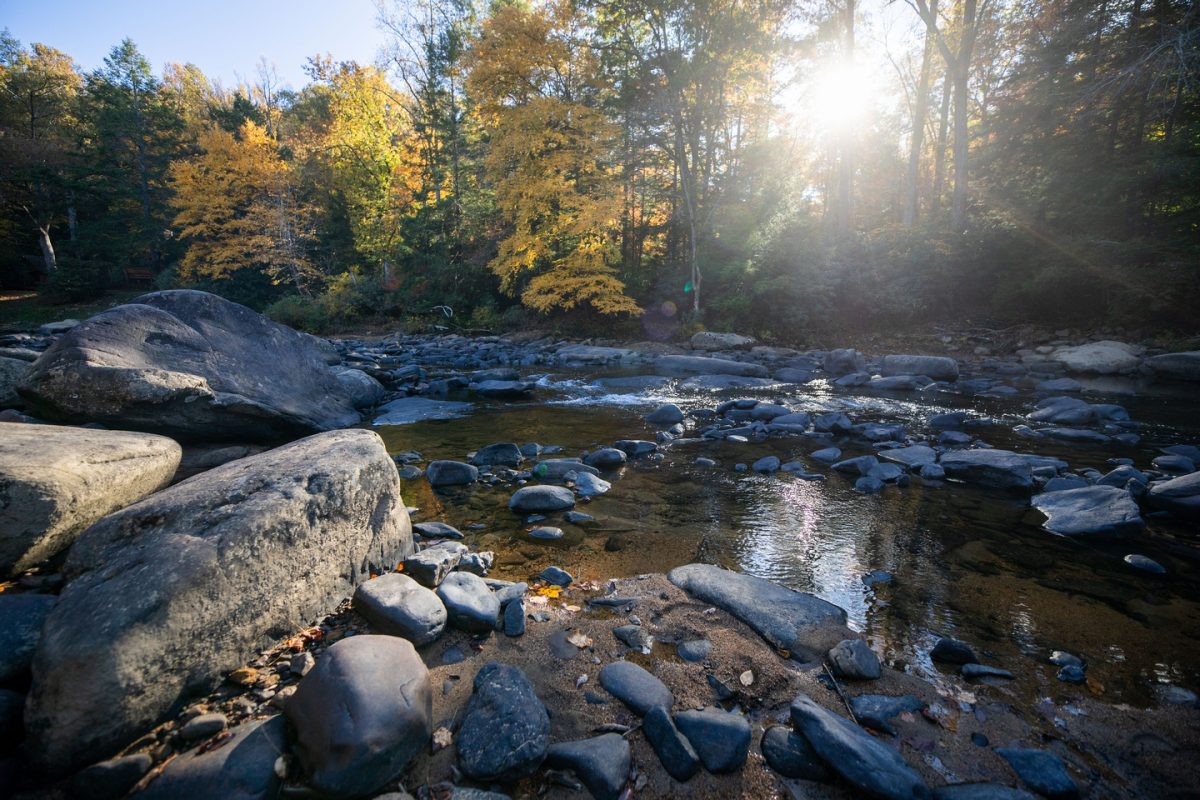 How many WV State Parks will you check off this summer? - West Virginia ...