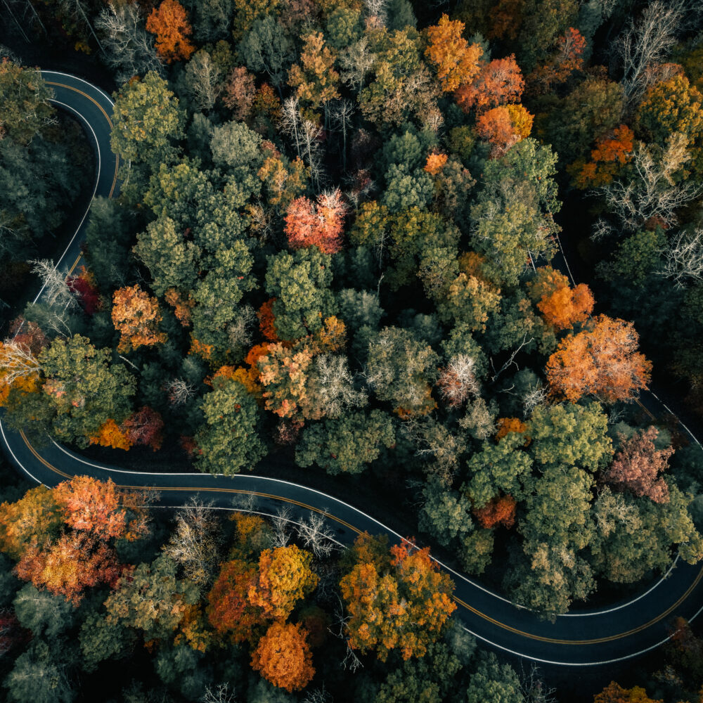 West Virginia State Parks & Forests - Activities, Lodging and Camping