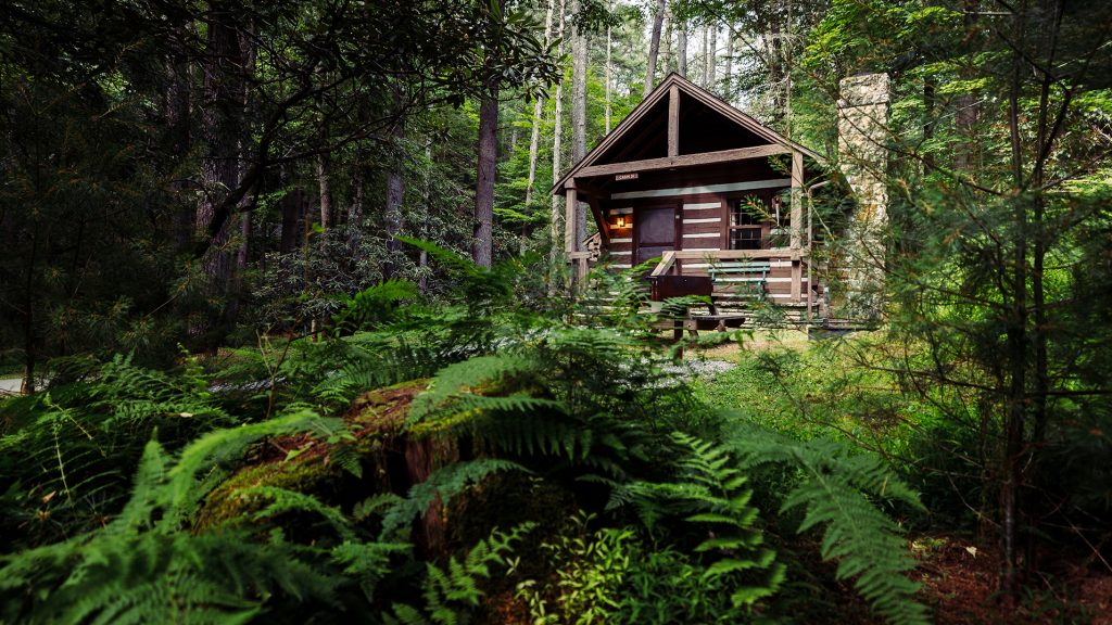 West Virginia Gold Rush returns March 29 - West Virginia State Parks