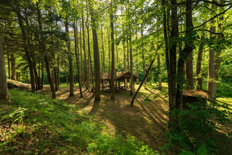 Your vacation guide for off-road adventures at Cabwaylingo State Forest
