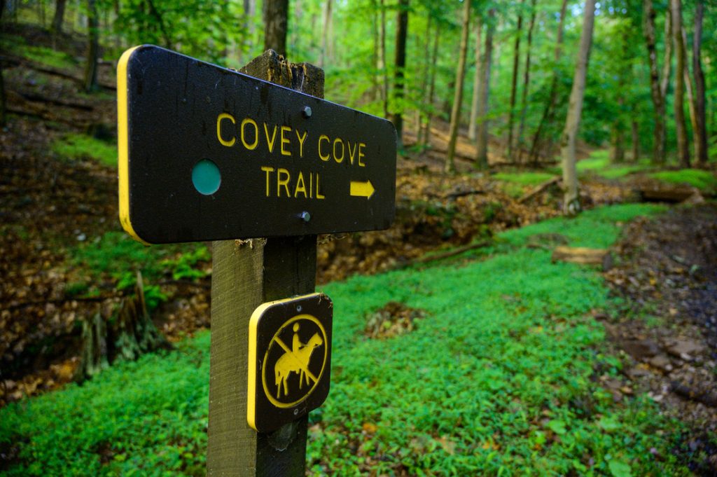 Your guide to outdoor adventures at Lost River State Park