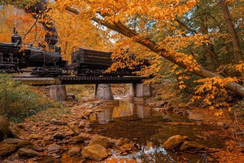 Add These 10 Adventures in West Virginia State Parks to your 2024 ...