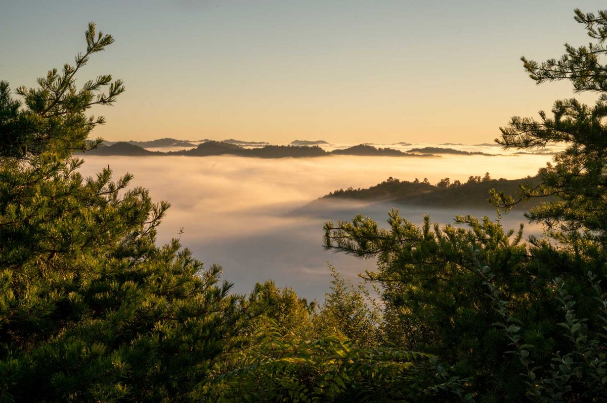 22 WV State Park photos to inspire your travel plans in 2022