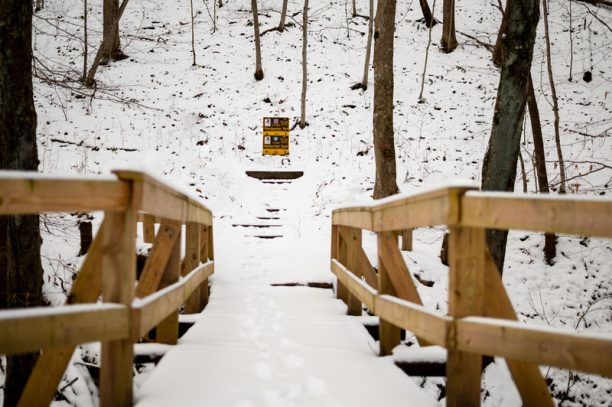 5 WV State Parks that will make you fall in love with the outdoors ...