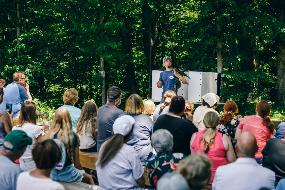 Have fun while learning about nature at WV state parks - West Virginia ...