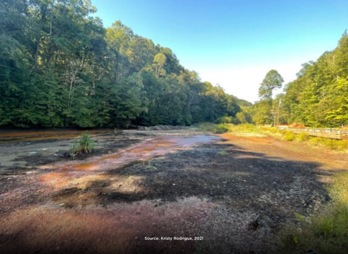 The Decommissioning of Davis Creek Dam - West Virginia State Parks