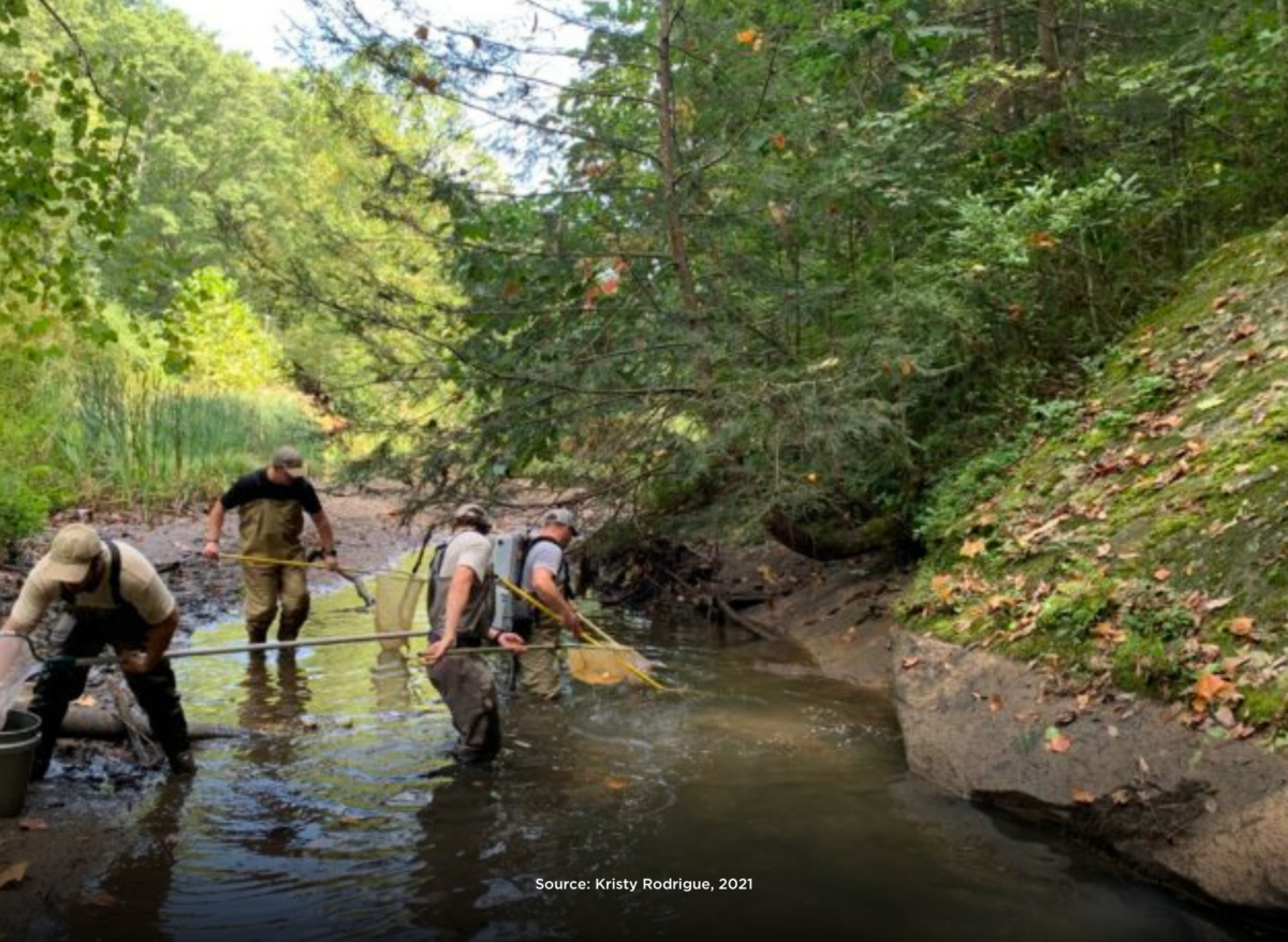The Decommissioning of Davis Creek Dam - West Virginia State Parks
