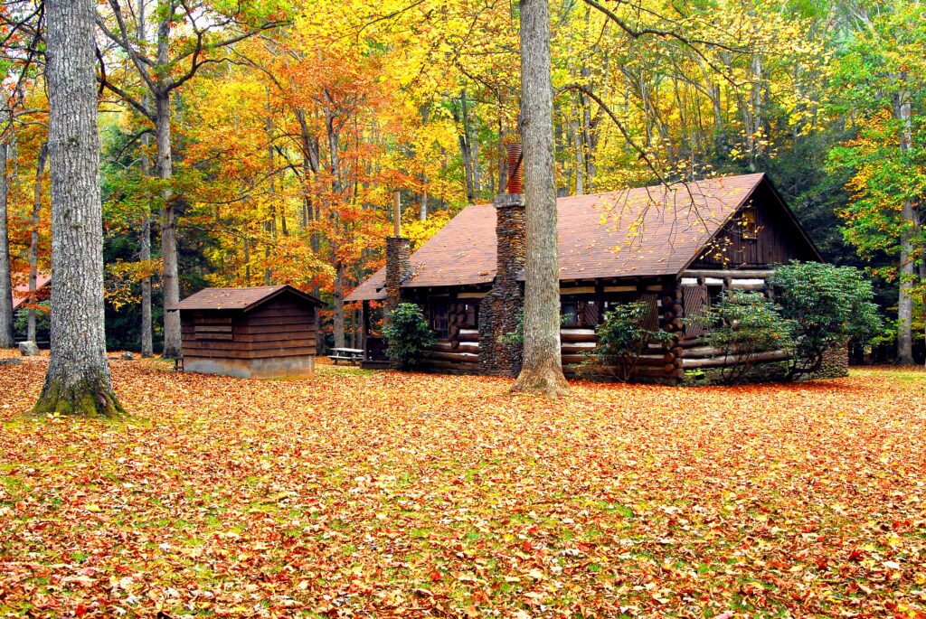 Trails at Kanawha State Forest - West Virginia State Parks