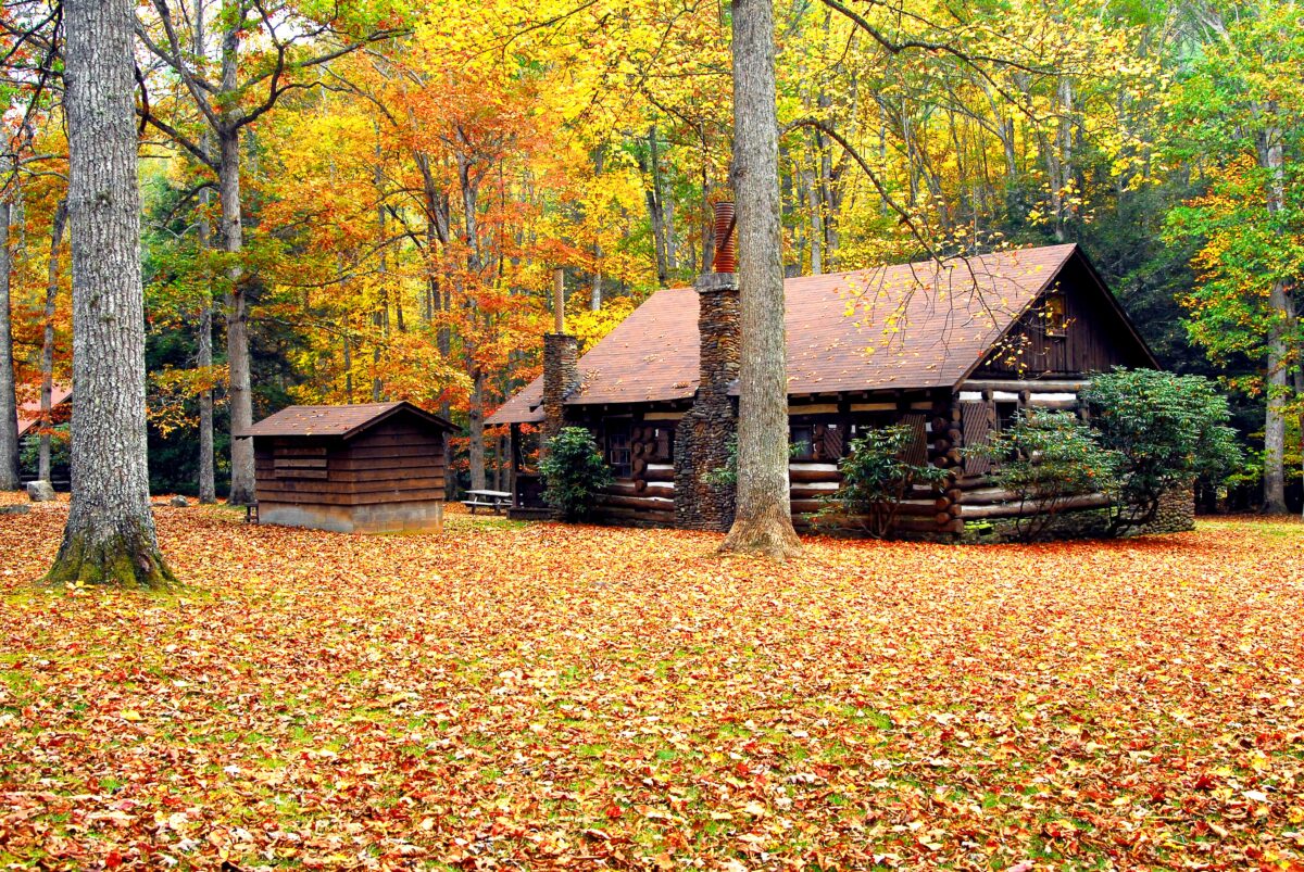Trails at Kanawha State Forest - West Virginia State Parks