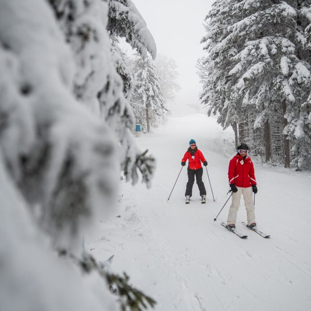 Canaan Valley Resort State Park - West Virginia State Parks
