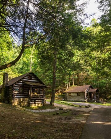 Cabwaylingo State Forest - West Virginia State Parks