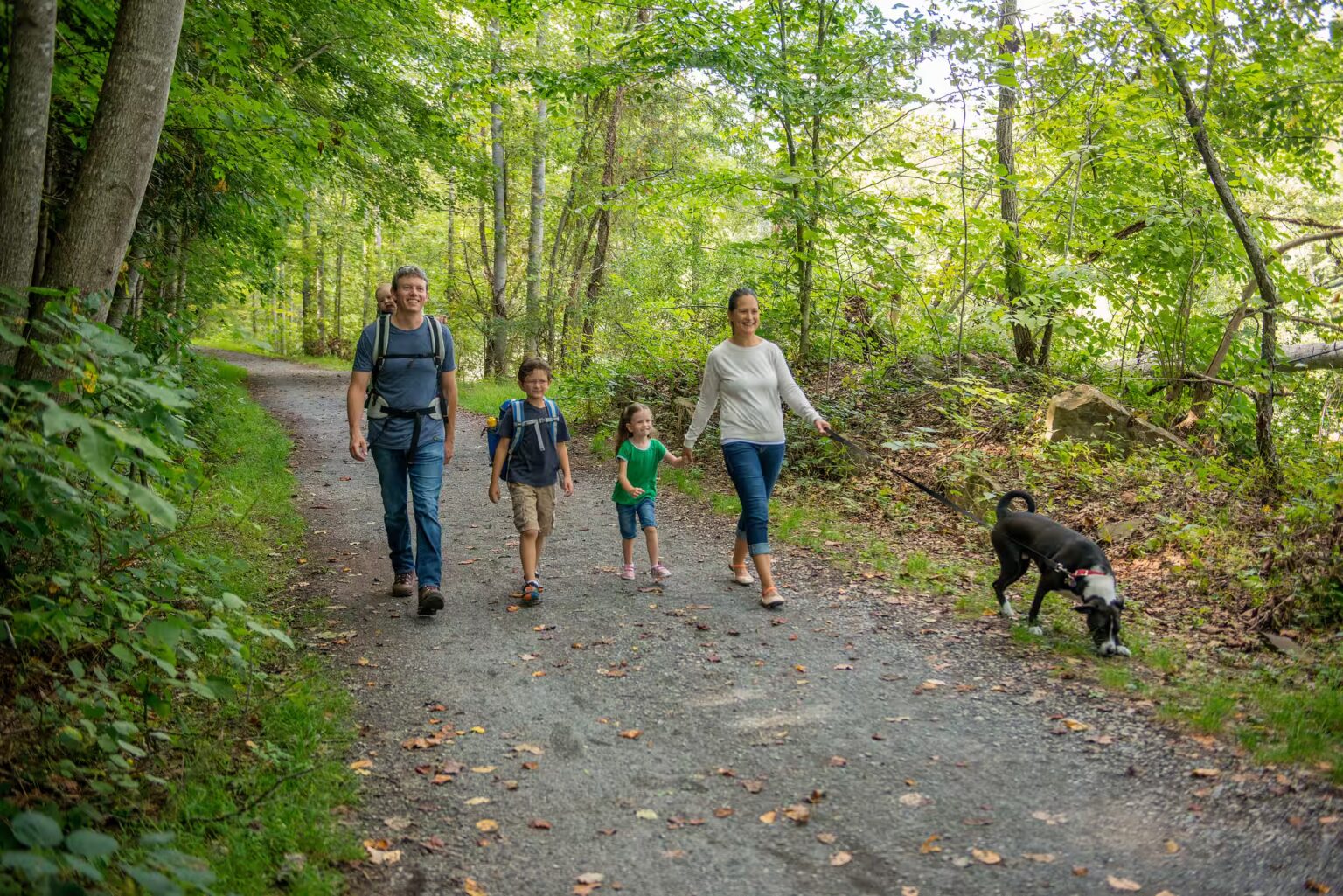 West FURginia State Park Ranger Program - West Virginia State Parks