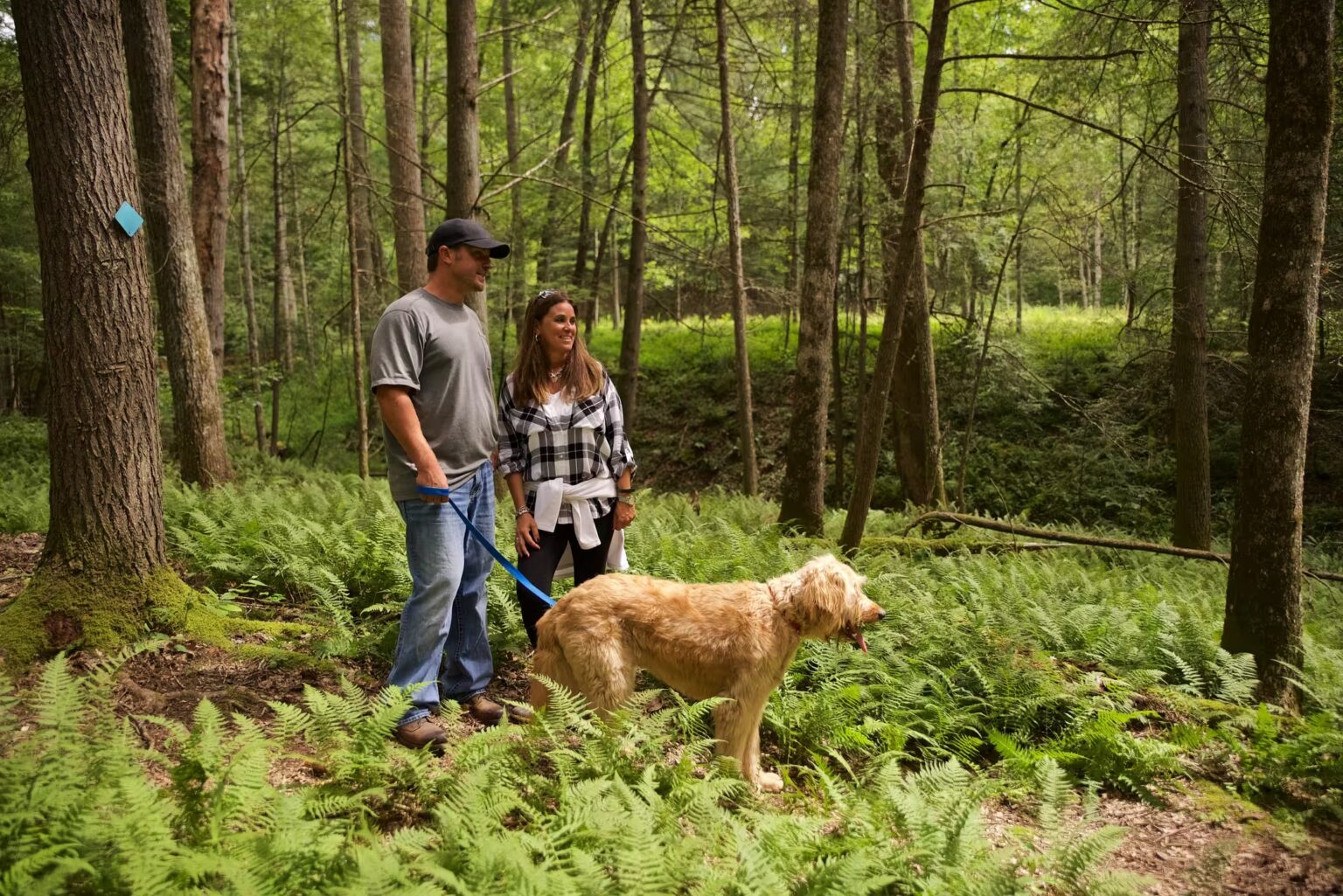 West FURginia State Park Ranger Program - West Virginia State Parks