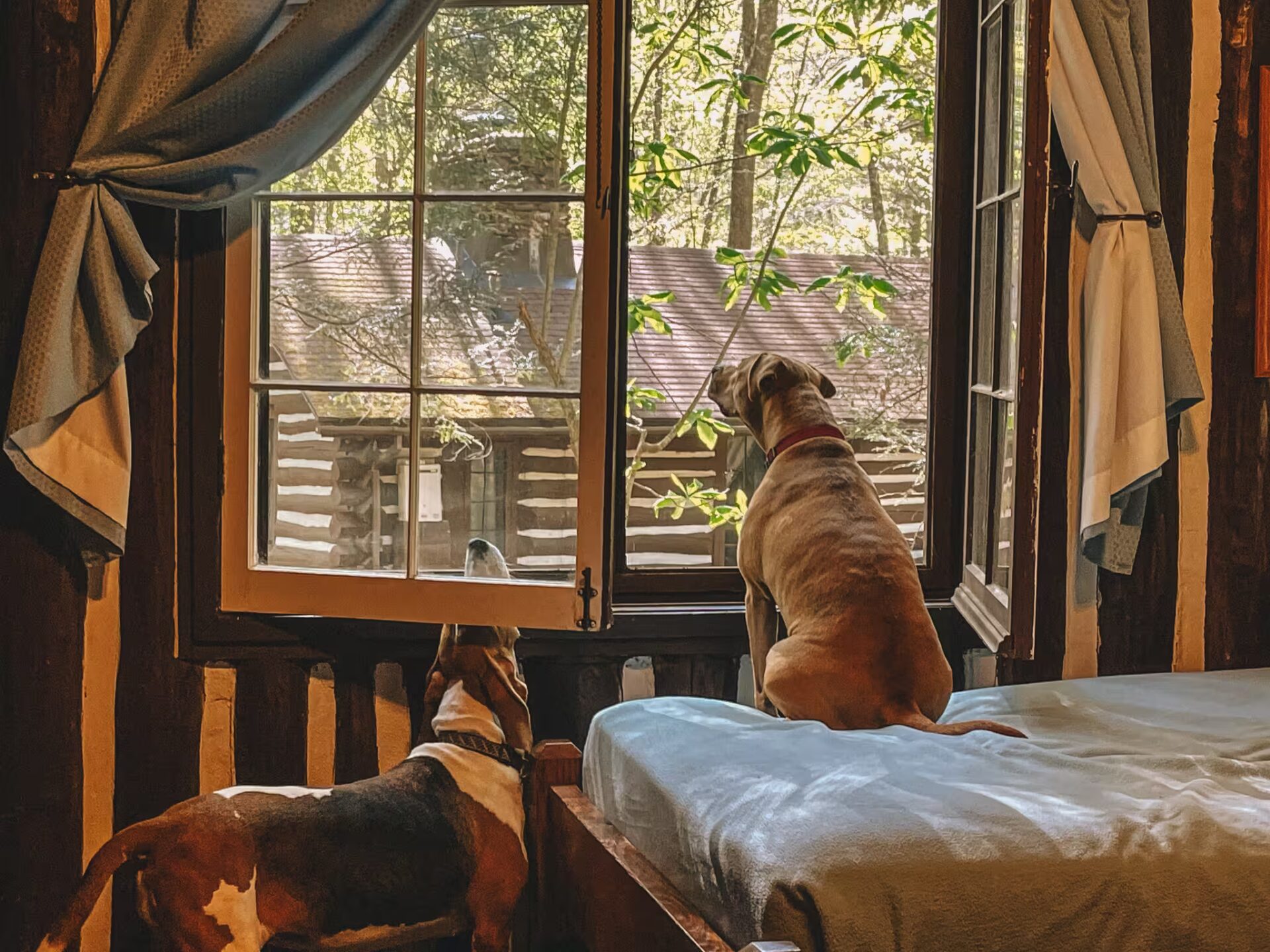 West FURginia State Park Ranger Program - West Virginia State Parks